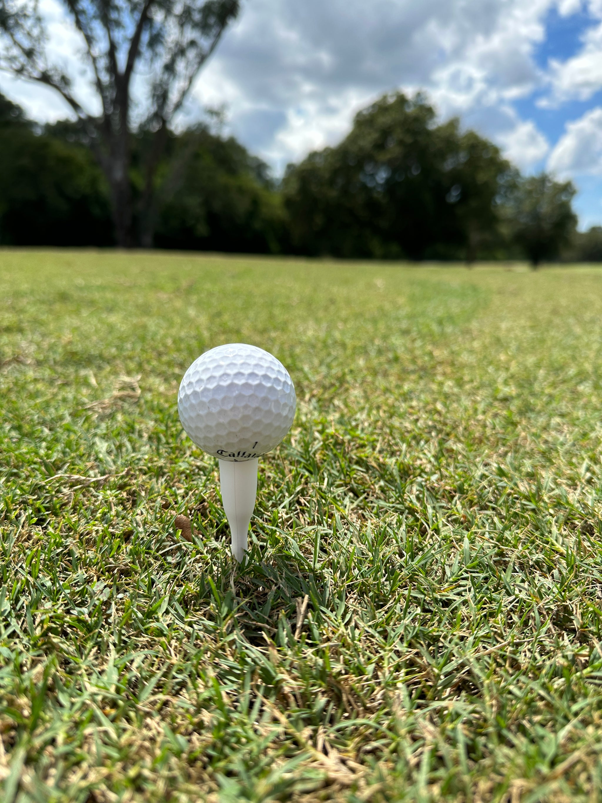 Gold Wolf Golf Tees